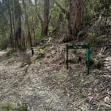 Masons Falls and Mount Sugarloaf Circuit, Victoria, Australia - 1,055 ...