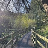 Wepre Park Circular, Flintshire, Wales - 502 Reviews, Map | AllTrails