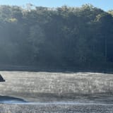 Cash Lake Loop Trail, Maryland - 1,144 Reviews, Map | AllTrails