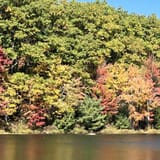 Goose Pond Loop, New Hampshire - 771 Reviews, Map | AllTrails