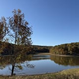 White Bison Loop, Missouri - 2,670 Reviews, Map | AllTrails
