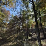White Bison Loop, Missouri - 2,670 Reviews, Map | AllTrails