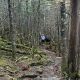 Mount Jackson and Mount Webster Trail Loop, New Hampshire - 2,459 ...