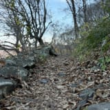 Hawksbill Loop Trail, Virginia - 5,338 Reviews, Map | AllTrails