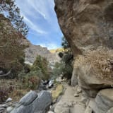 Tahquitz Canyon Loop, California - 4,584 Reviews, Map | AllTrails