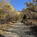 Neff's Canyon Loop, Utah - 3,354 Reviews, Map | AllTrails