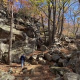 Reeves Brook Loop Trail, New York - 5,277 Reviews, Map | AllTrails
