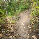 Rowlett Creek DORBA Full Trail, Texas - 463 Reviews, Map | AllTrails