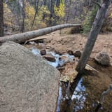 Seven Bridges Trail, Colorado - 9,051 Reviews, Map | AllTrails