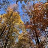 Long Point Trail, West Virginia - 6,148 Reviews, Map | AllTrails