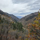 Lower Mill B North Fork Trail, Utah - 2,132 Reviews, Map | AllTrails
