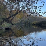 Natural Bridge Trail and Rock Shelter Trail Loop, Ohio - 1,775 Reviews ...