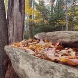 Sprague Brook Park Trail, New York - 1,461 Reviews, Map | AllTrails