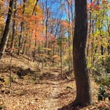 Birdsboro Waters Loop, Pennsylvania - 451 Reviews, Map | AllTrails