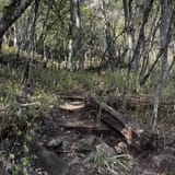 Kukui Trail, Kaua'i, Hawaii - 1,665 Reviews, Map | AllTrails