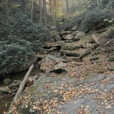 Kelly's Run Loop Trail, Pennsylvania - 3,963 Reviews, Map | AllTrails