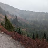 Skyline Loop, Washington - 20,819 Reviews, Map | AllTrails