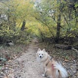 Kelly's Run Loop Trail, Pennsylvania - 3,963 Reviews, Map | AllTrails