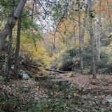 Kelly's Run Loop Trail, Pennsylvania - 3,963 Reviews, Map | AllTrails