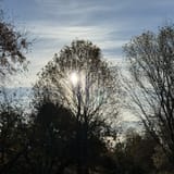 Okehocking Preserve Loop, Pennsylvania - 1,293 Reviews, Map | AllTrails
