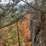 Whitaker Point Trail (Hawksbill Crag), Arkansas - 4,343 Reviews, Map ...
