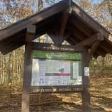 Springer Mountain, Georgia - 691 Reviews, Map | AllTrails