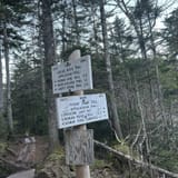 Lonesome Lake Trail, New Hampshire - 4,292 Reviews, Map | AllTrails