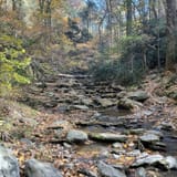 Kelly's Run Loop Trail, Pennsylvania - 3,963 Reviews, Map | AllTrails