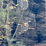 Greeter Falls Loop, Tennessee - 1,522 Reviews, Map | AllTrails