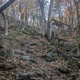 Rock Dunder, Ontario, Canada - 1,342 Reviews, Map | AllTrails