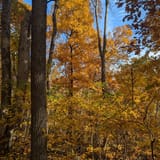 Humpback Rocks Loop Via the Appalachian Trail, Virginia - 3,169 Reviews ...