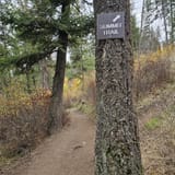 Tubbs Hill, Idaho - 5,053 Reviews, Map | AllTrails