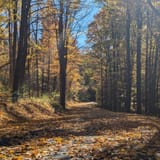 Mount Philo Western Loop, Vermont - 901 Reviews, Map | AllTrails