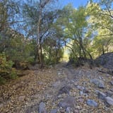 Picketpost Loop via Arizona Trail and L.O.S.T Trail, Arizona - 1,538 ...