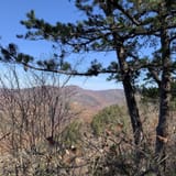 Riprap Trail , Virginia - 1,775 Reviews, Map | AllTrails