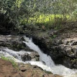 Hoopii Falls Trail, Kaua'i, Hawaii - 5,562 Reviews, Map | AllTrails