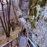 Escarpment Trail, New York - 1,053 Reviews, Map | AllTrails