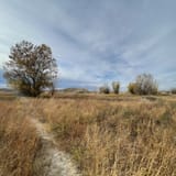 Castle Trail to Medicine Root Loop, South Dakota - 685 Reviews, Map ...