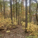 North Sylamore Creek Trail, Arkansas - 272 Reviews, Map | AllTrails