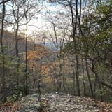 Sharp Top Trail, Virginia - 3,338 Reviews, Map | AllTrails