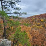 Whitaker Point Trail (Hawksbill Crag), Arkansas - 4,283 Reviews, Map ...