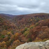 Whitaker Point Trail (Hawksbill Crag), Arkansas - 4,227 Reviews, Map ...