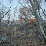 Humpback Rocks Loop Via the Appalachian Trail, Virginia - 3,169 Reviews ...