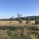 Via Domitia: Saint-Rémy-de-Provence, Bouches-du-Rhône, France - 30 ...