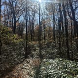 Pulpit Rock and Pinnacle Loop, Pennsylvania - 3,816 Reviews, Map ...