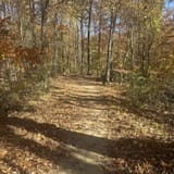 Pulpit Rock and Pinnacle Loop, Pennsylvania - 3,816 Reviews, Map ...