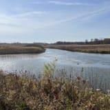Herrick Lake Trail, Illinois - 1,055 Reviews, Map | AllTrails