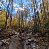 John Rock Trail Loop, North Carolina - 2,834 Reviews, Map | AllTrails