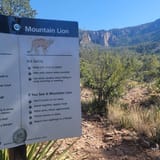 Basin Loop Trail, Texas - 1,178 Reviews, Map | AllTrails