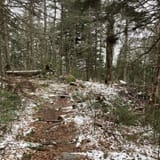Mount Ascutney via Weathersfield Trail, Vermont - 1,569 Reviews, Map ...